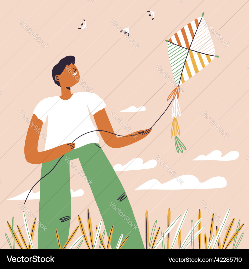 Boy with a flying kite Royalty Free Vector Image