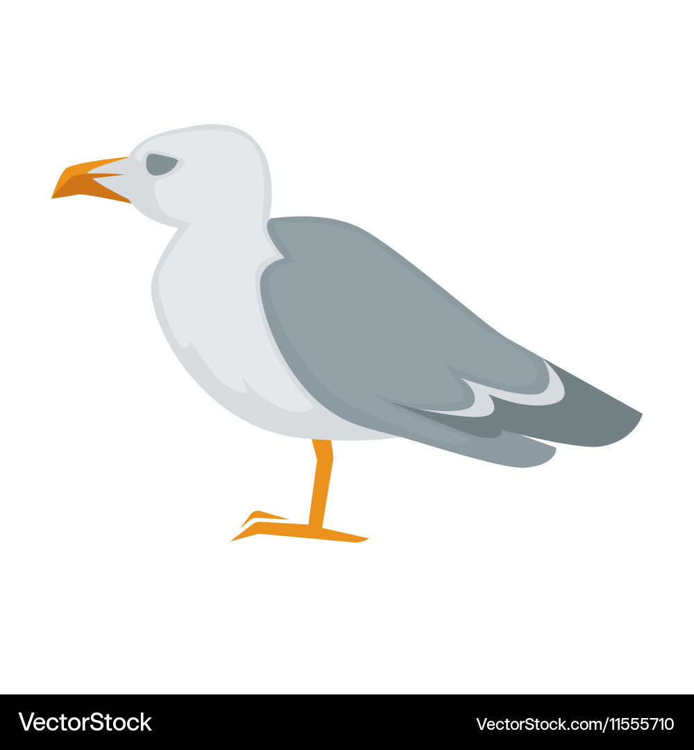 Colorful sea gull bird Royalty Free Vector Image
