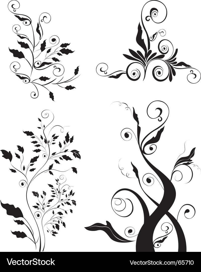 Floral elements collection Royalty Free Vector Image