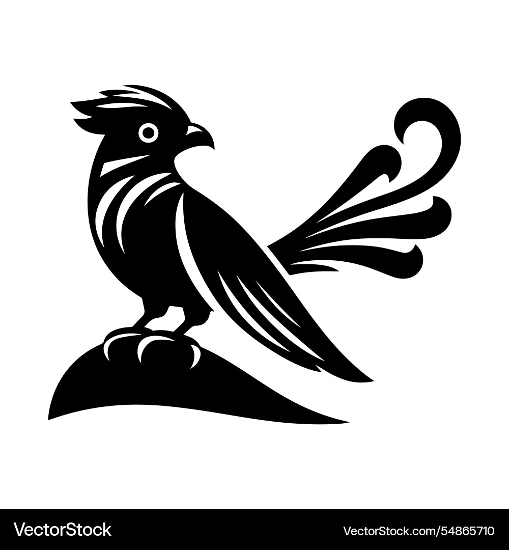 Premium quetzal silhouette graphics for creative Vector Image
