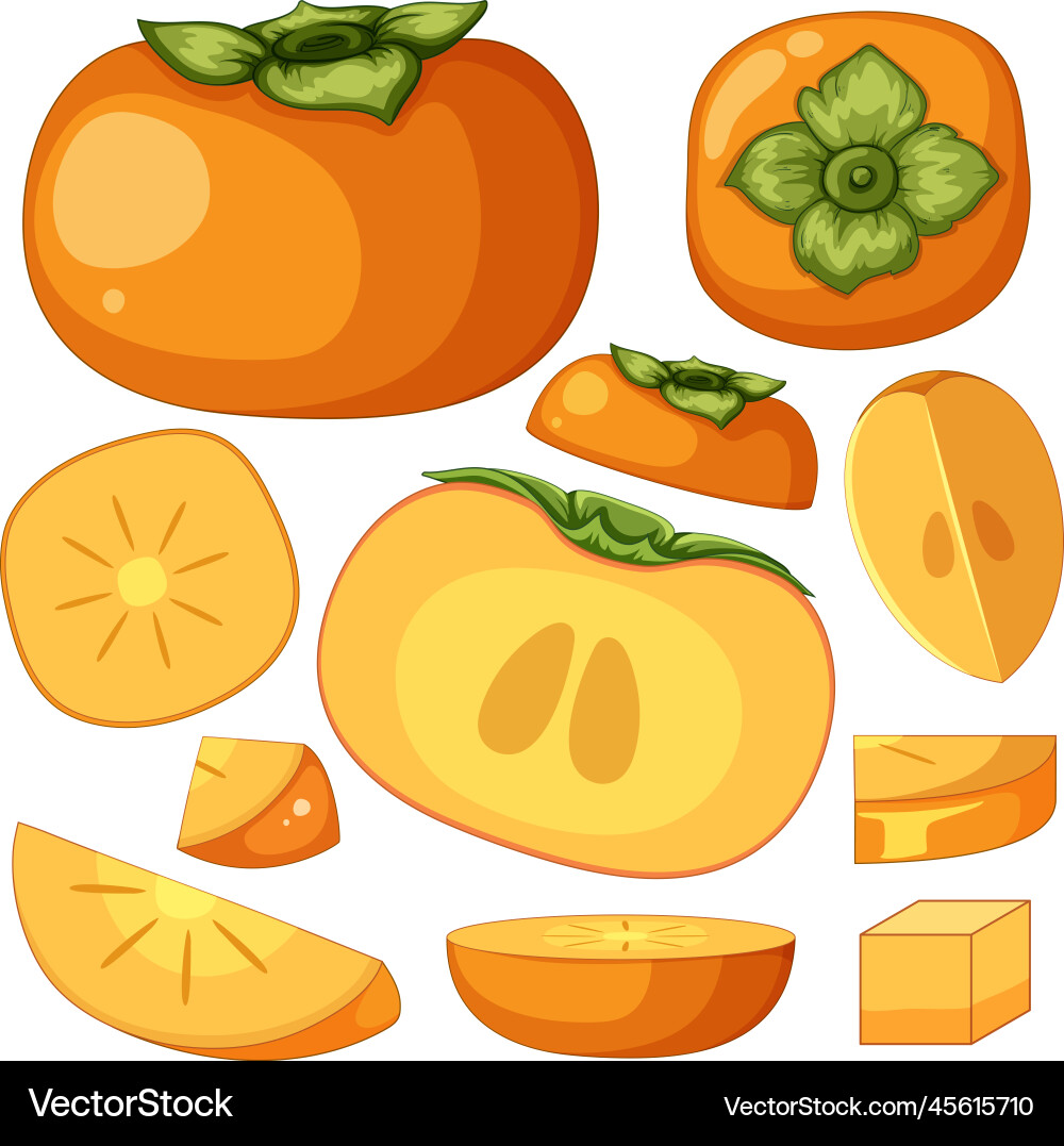 Set of persimmon fruit isolated Royalty Free Vector Image
