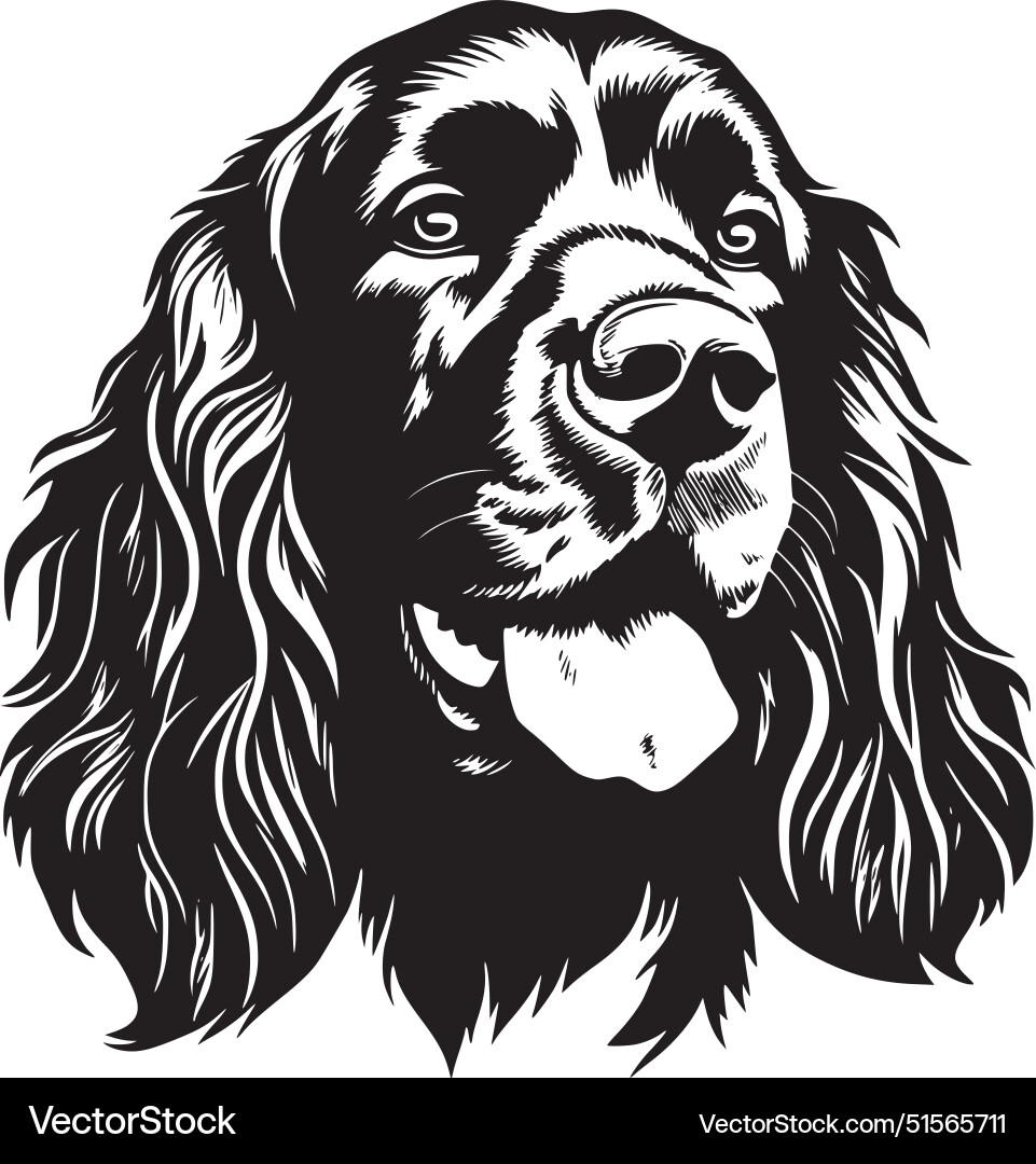 Cocker spaniel - high quality logo ideal Vector Image