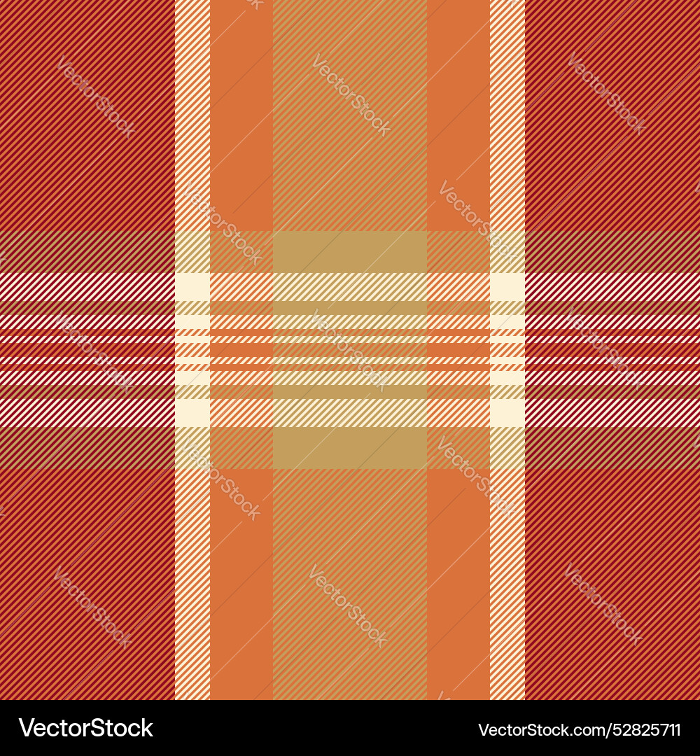 Decorating plaid fabric tartan furry check Vector Image