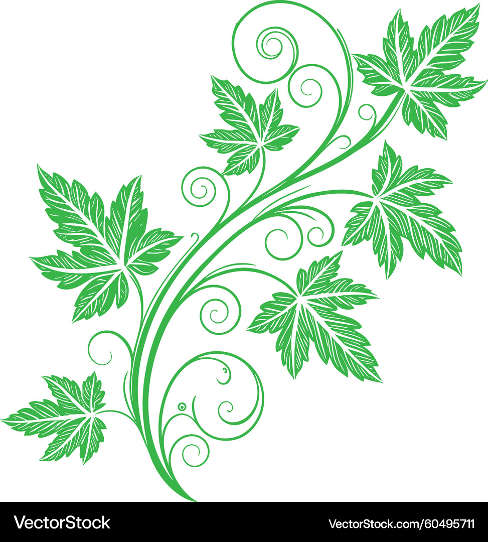 Green leafy swirls decorative element design – Royalty-Free Vector ...