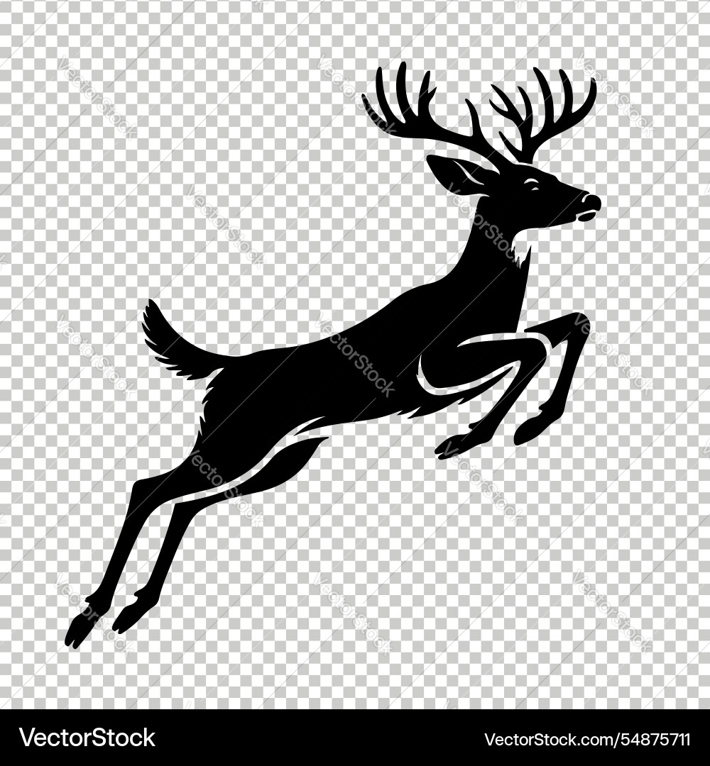 Whitetail deer Royalty Free Vector Image - VectorStock