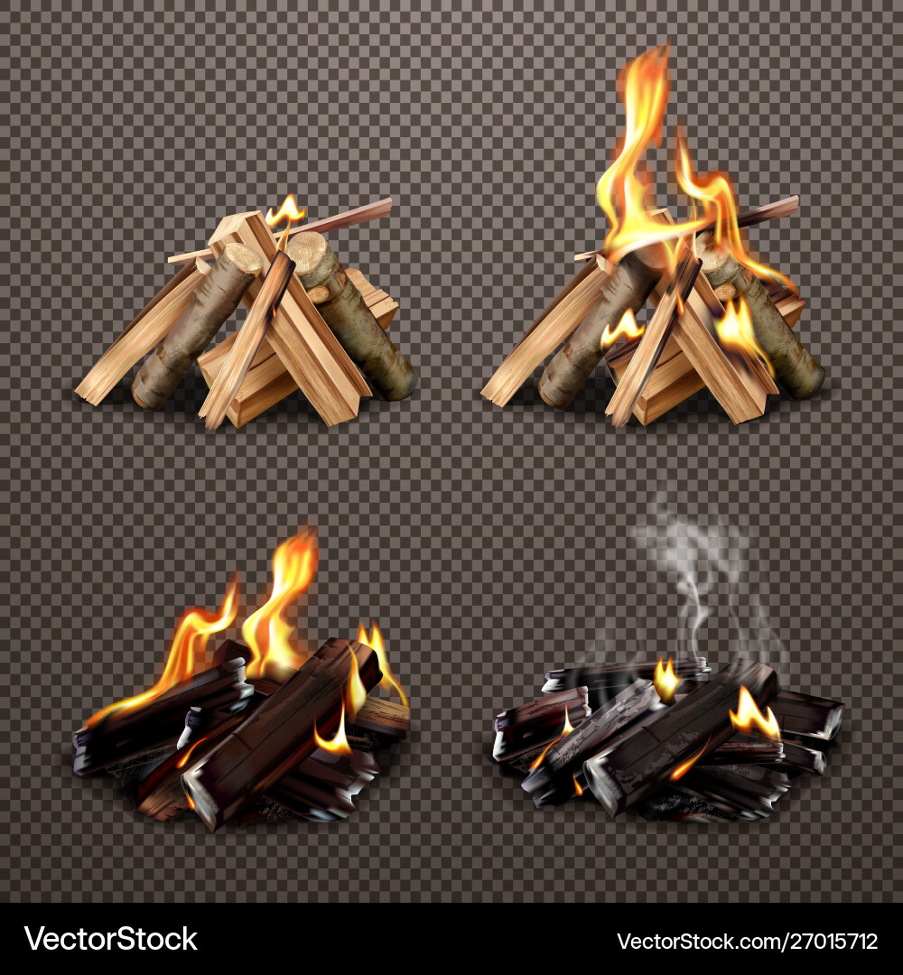 Campfire stages of burning Royalty Free Vector Image