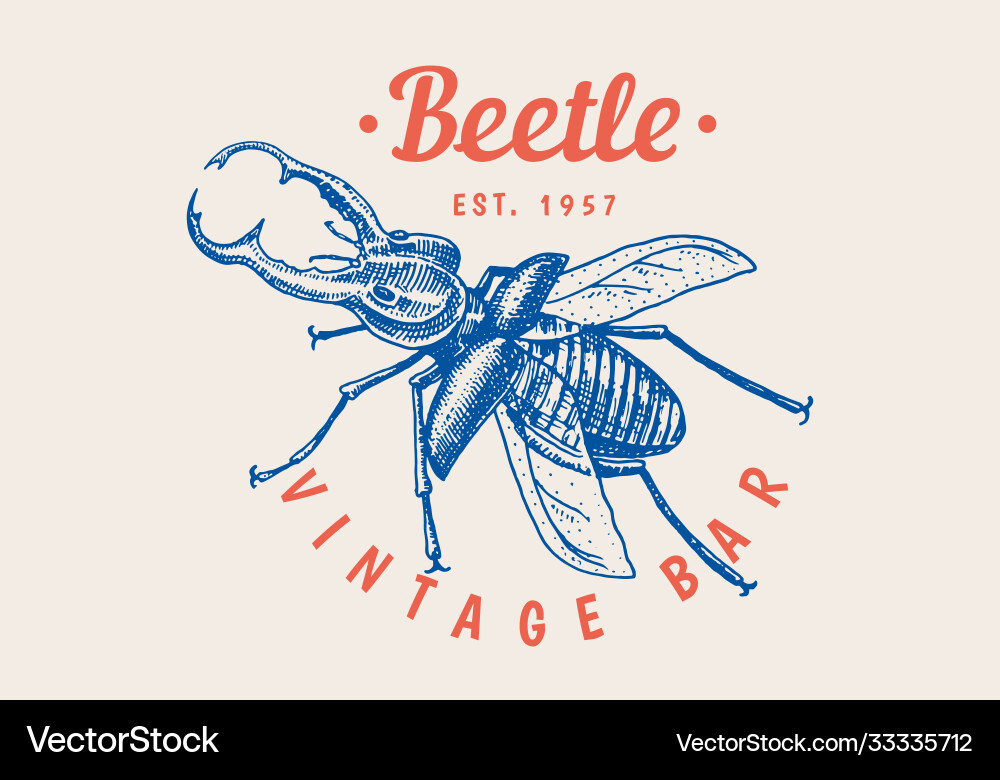 Insect logo vintage bug beetle label for bar Vector Image