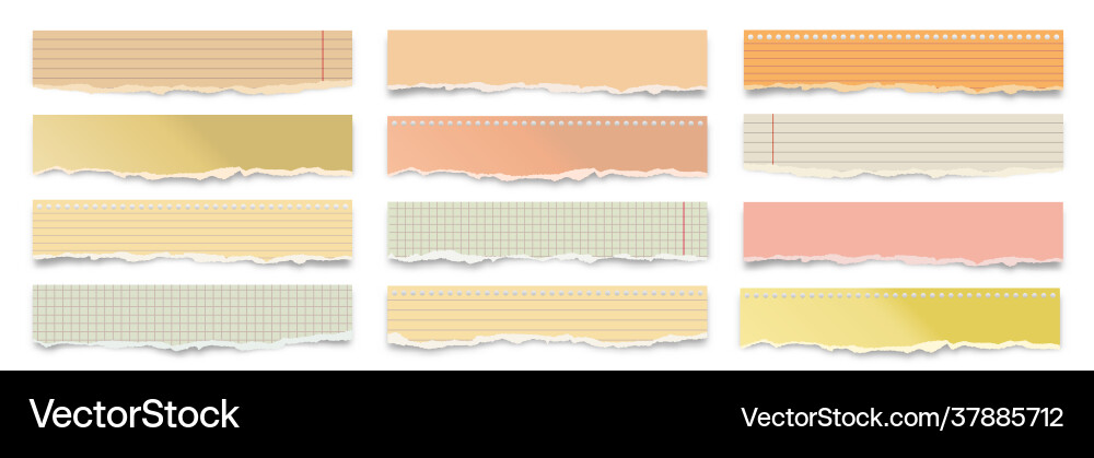 Ripped colorful paper strips isolated on white Vector Image
