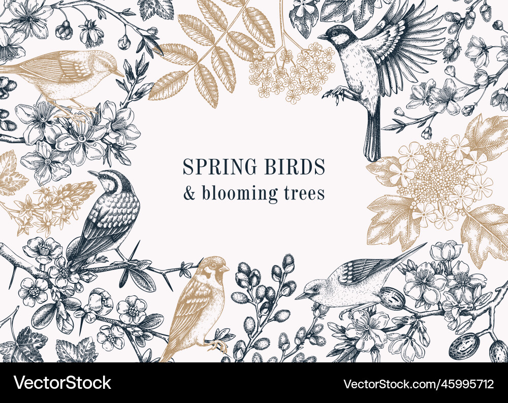 Vintage Spring Garden Sketch Royalty Free Vector Image