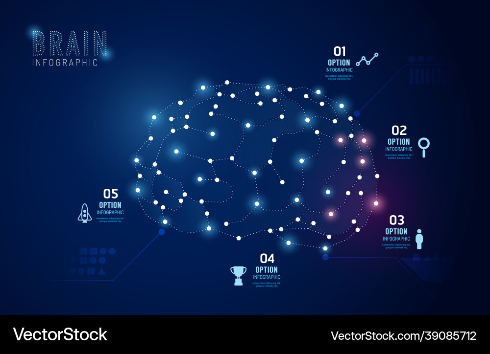 Wireframe infographics brain line education Vector Image