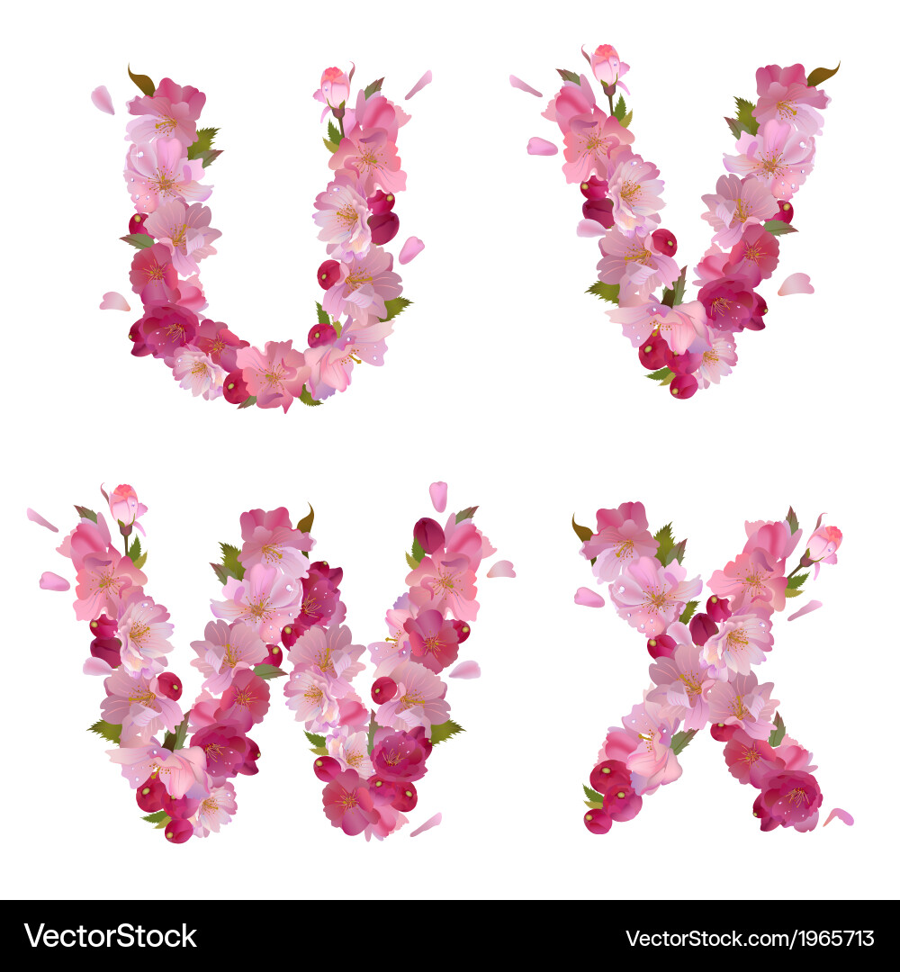 Spring alphabet with cherry flowers uvwx Vector Image