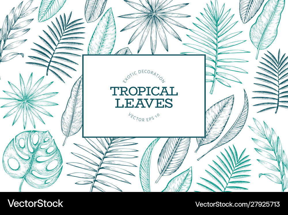 Tropical plants frame design hand drawn Royalty Free Vector