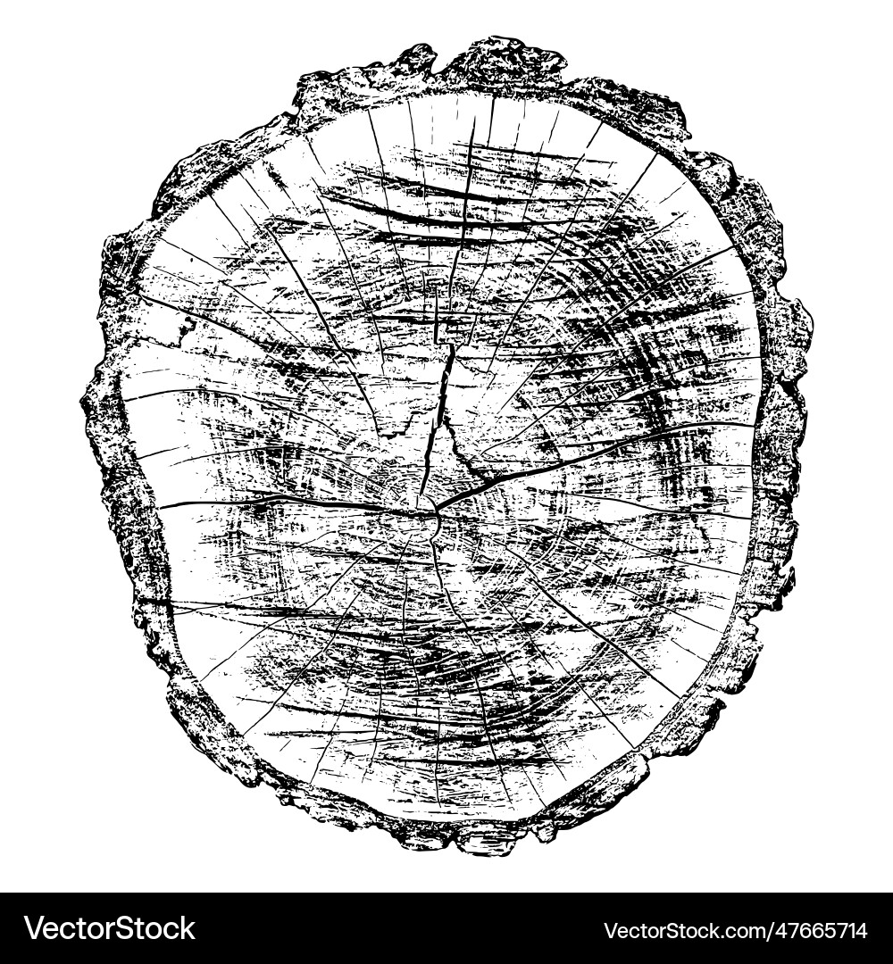 Distressed wood texture Royalty Free Vector Image