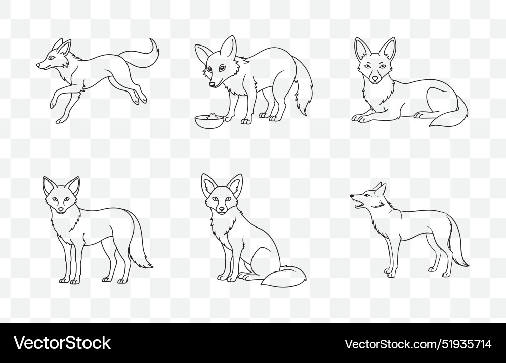 Jackal line art set collection Royalty Free Vector Image