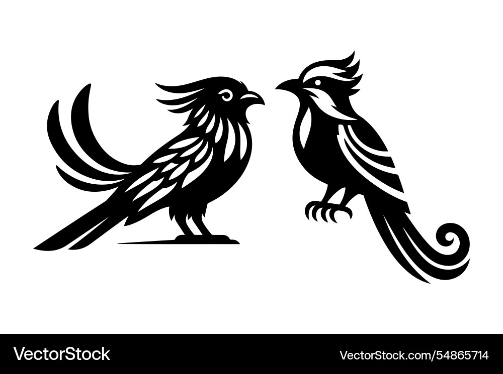 Premium quetzal silhouette graphics for creative Vector Image