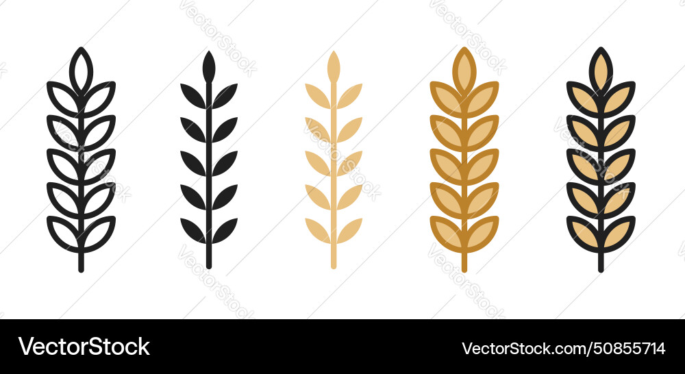 Wheat icon set barely and whole grain Royalty Free Vector