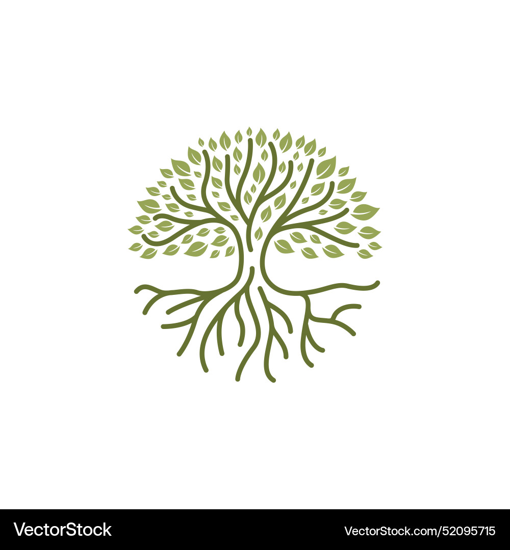 Circle root tree logo design Royalty Free Vector Image
