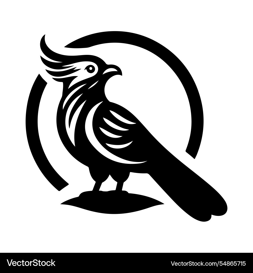 Premium quetzal silhouette graphics for creative Vector Image