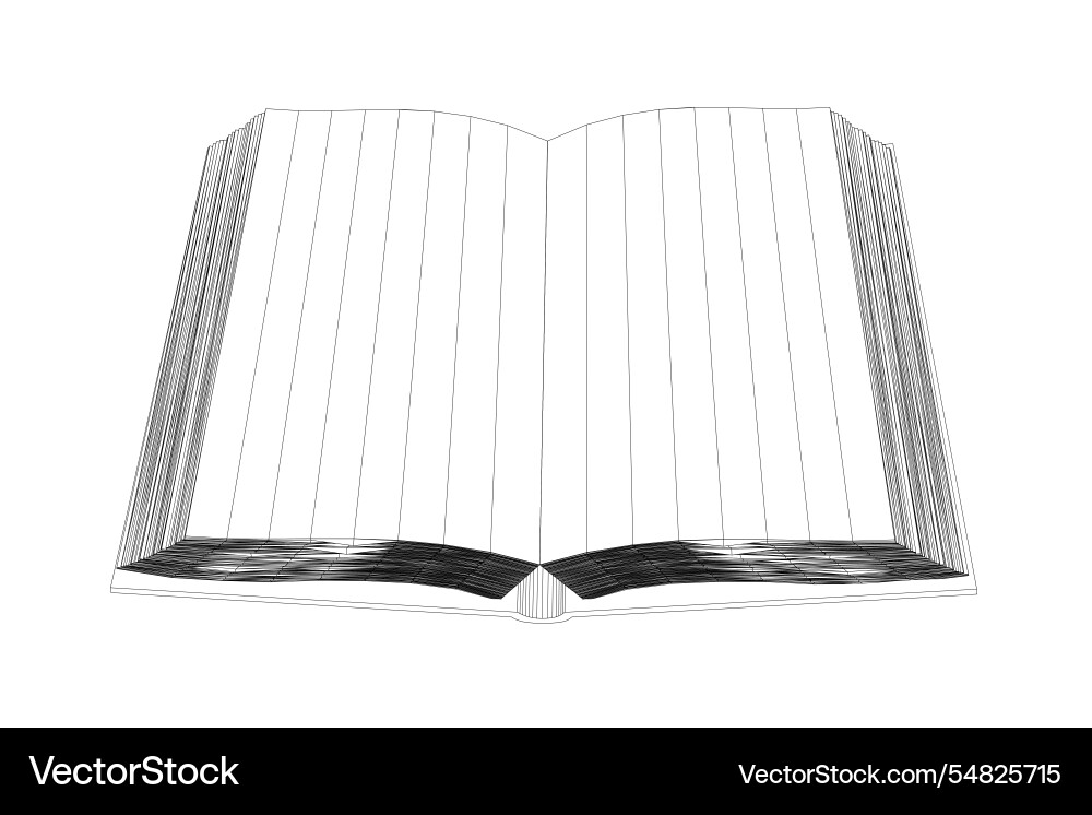 Wireframe of an open book made black lines Vector Image