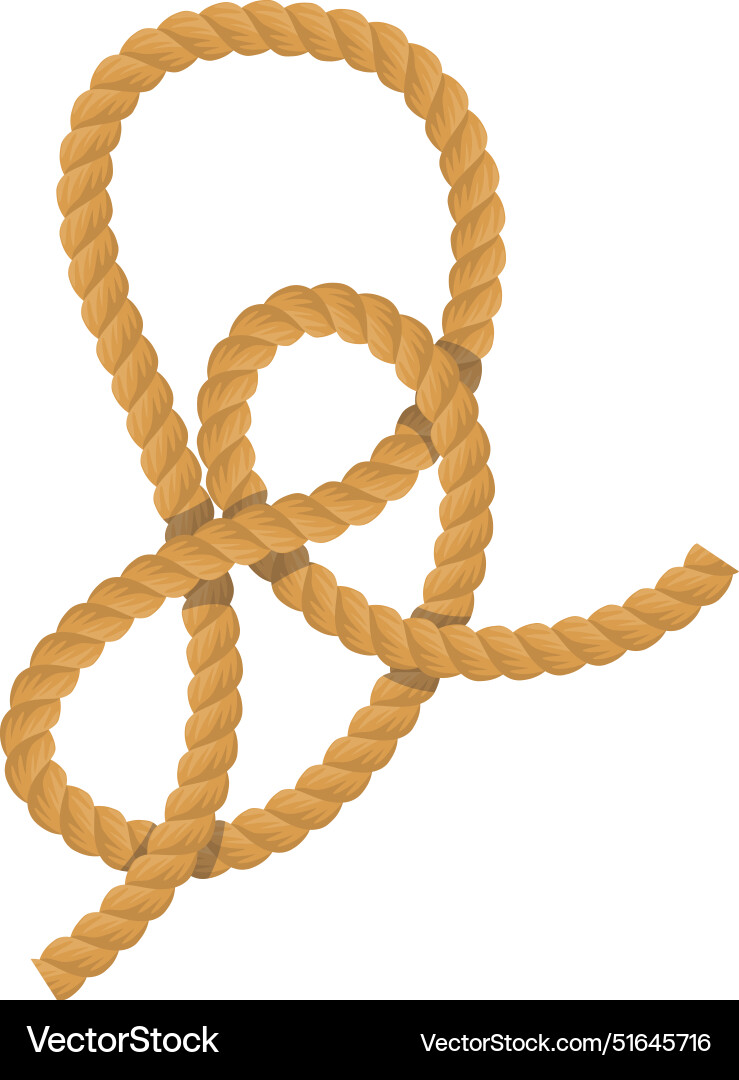 Complex knot tied using thick rope nautical Vector Image