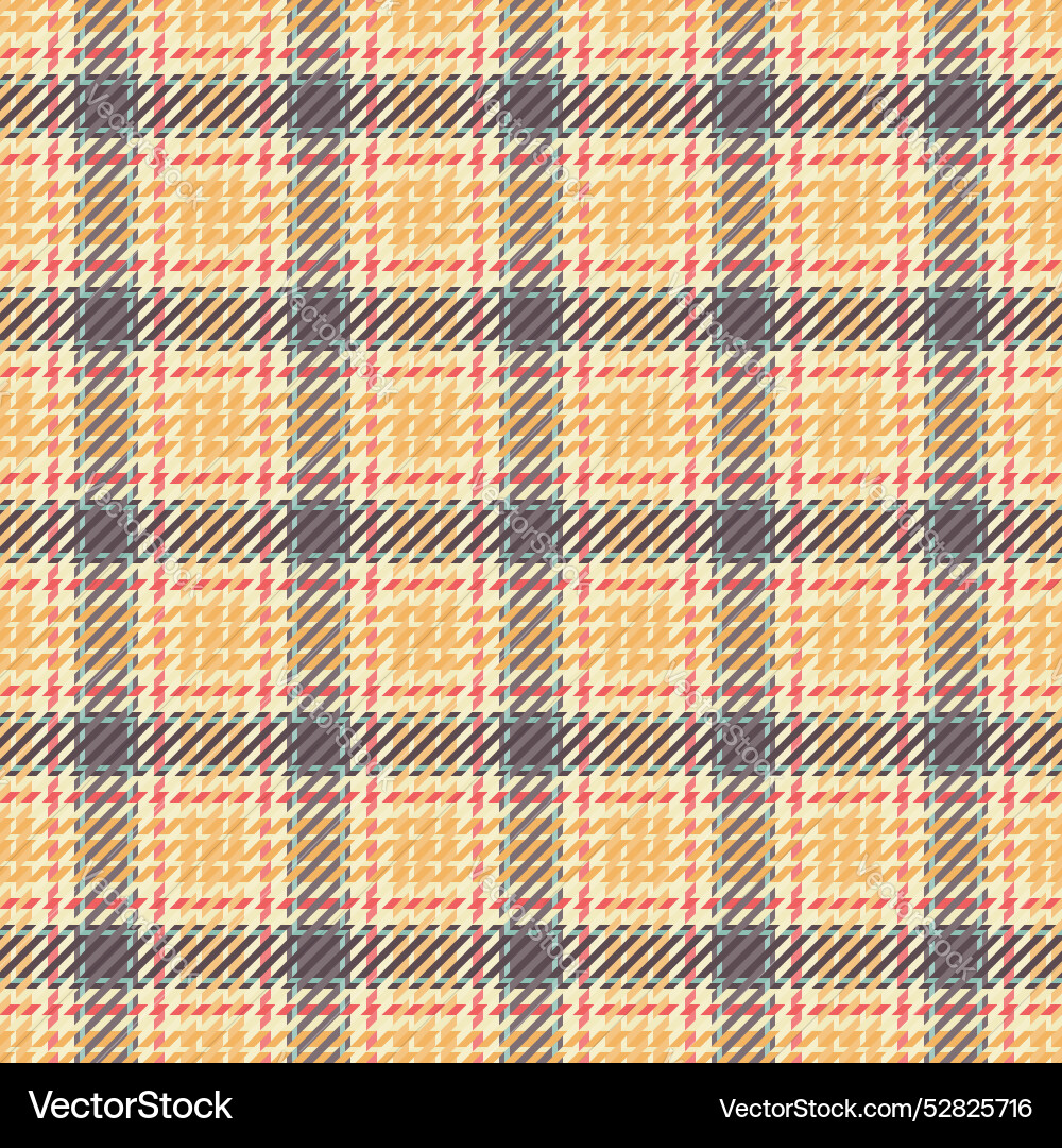 Exotic tartan pattern packaging check textile Vector Image