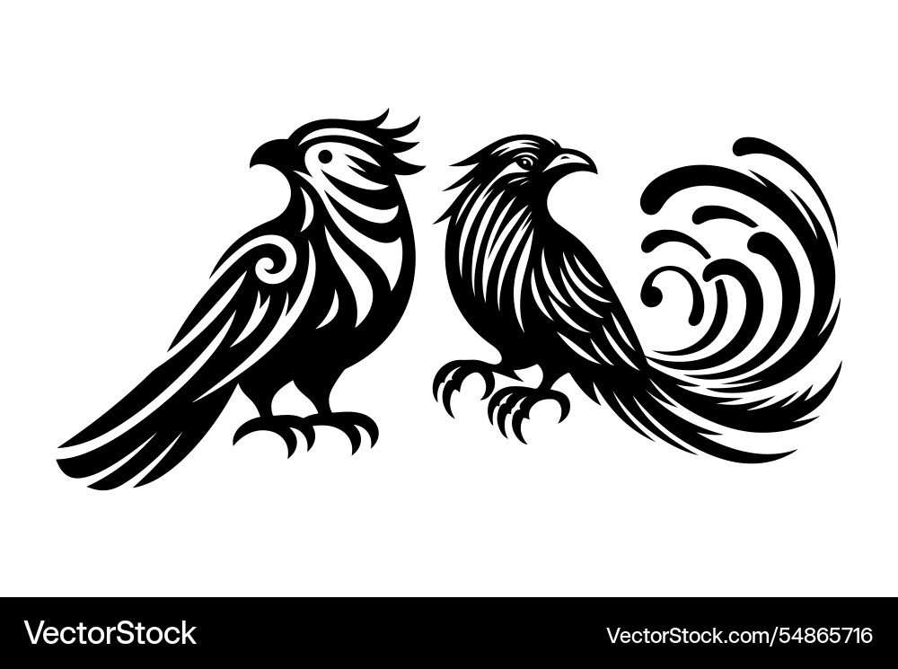 Premium quetzal silhouette graphics for creative Vector Image