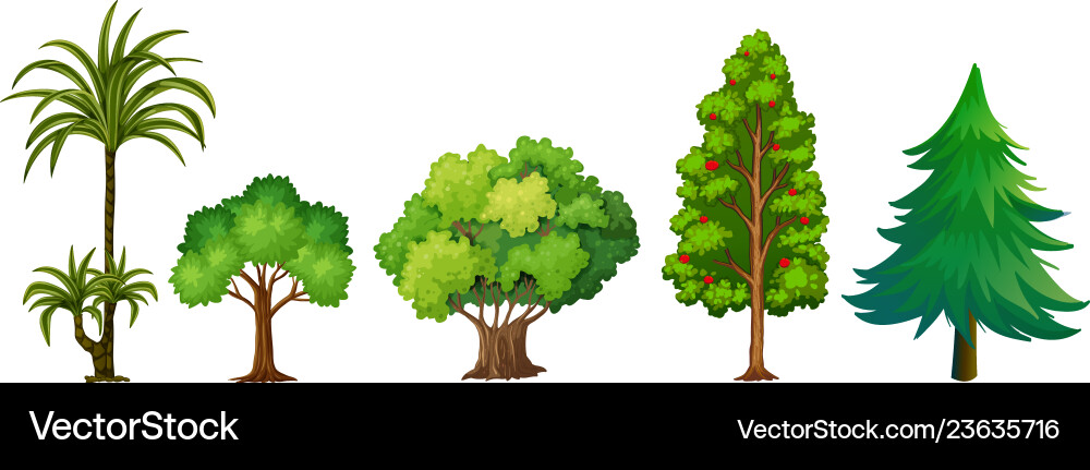 Set of different tree Royalty Free Vector Image