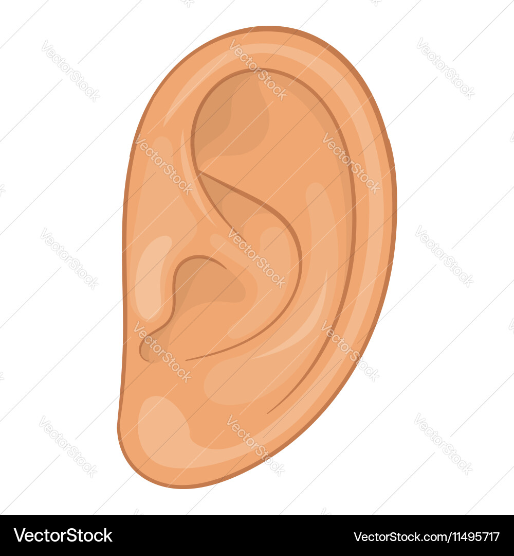 Cartoon Human Ears