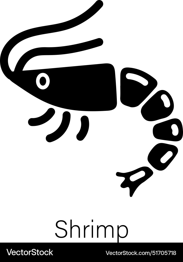 Shrimp Royalty Free Vector Image - VectorStock