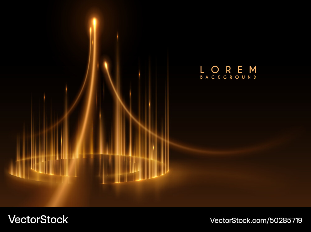 Abstract golden light effects on black background Vector Image