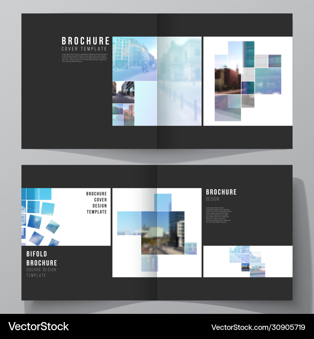 Layout two covers templates for square Royalty Free Vector