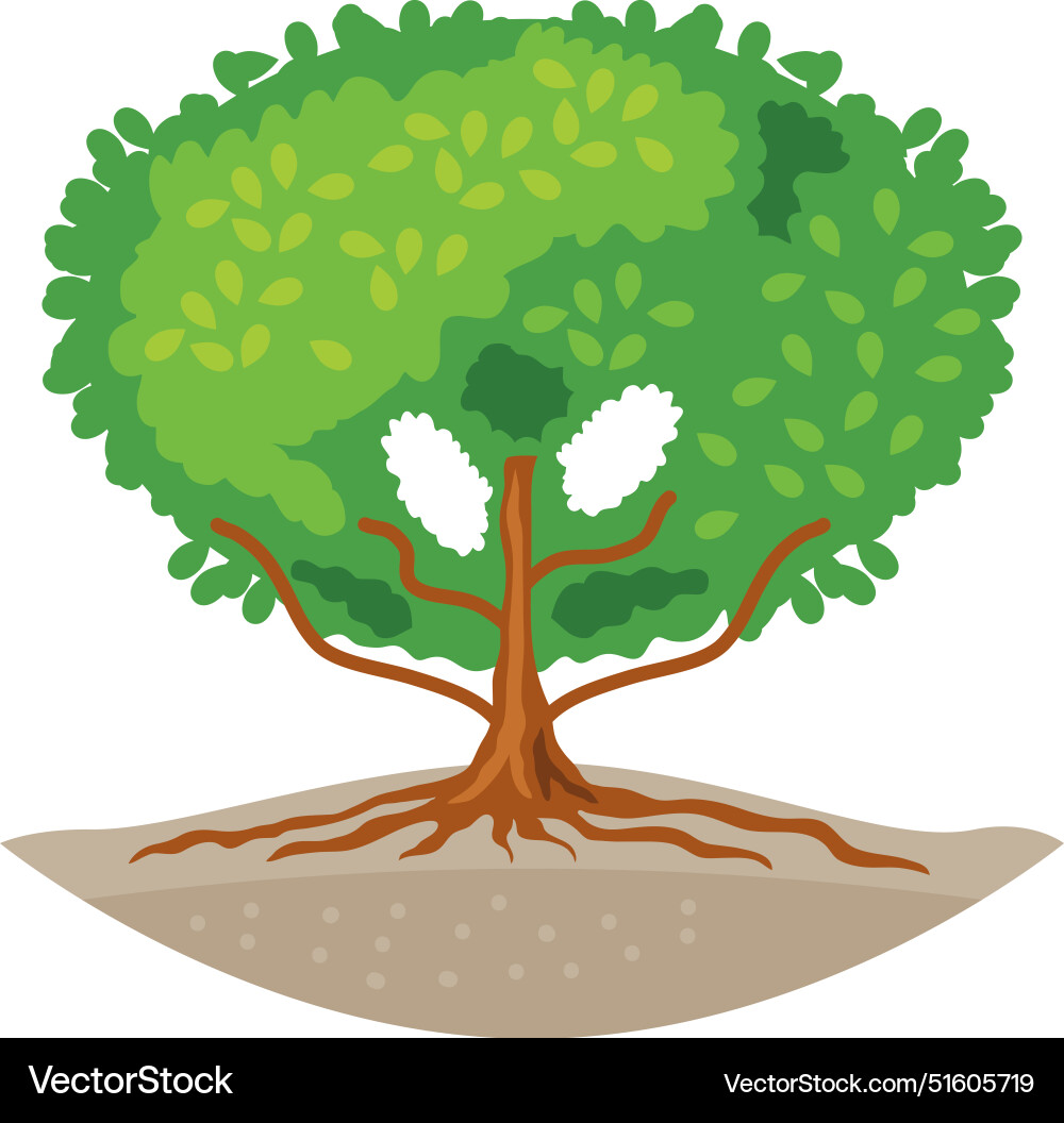 Mangrove tree rooted with green leaves Royalty Free Vector