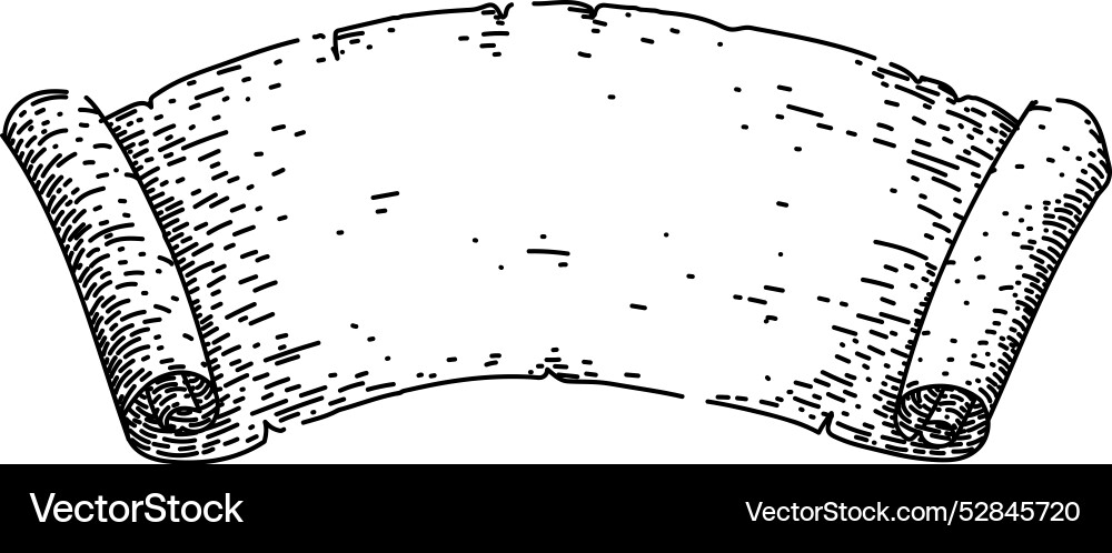 Parchment scroll paper sketch hand drawn Vector Image