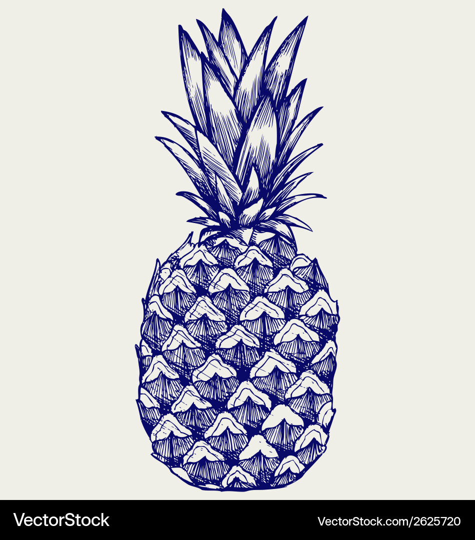 Pineapple Royalty Free Vector Image - VectorStock