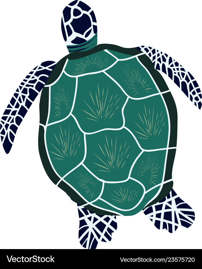 Sea turtle Royalty Free Vector Image - VectorStock
