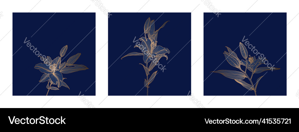 A set of frames lily flowers drawings Royalty Free Vector