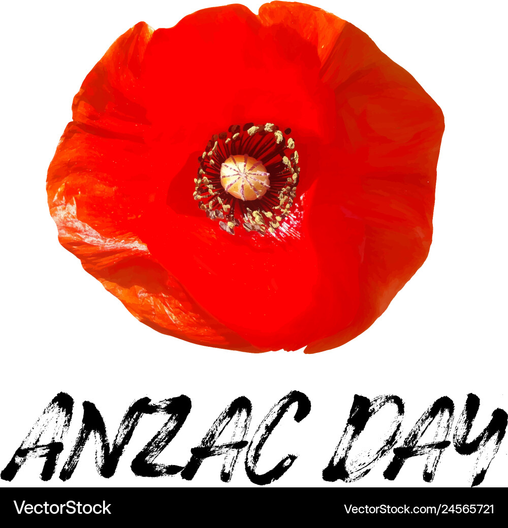 Anzac day card bright poppy flower Royalty Free Vector Image