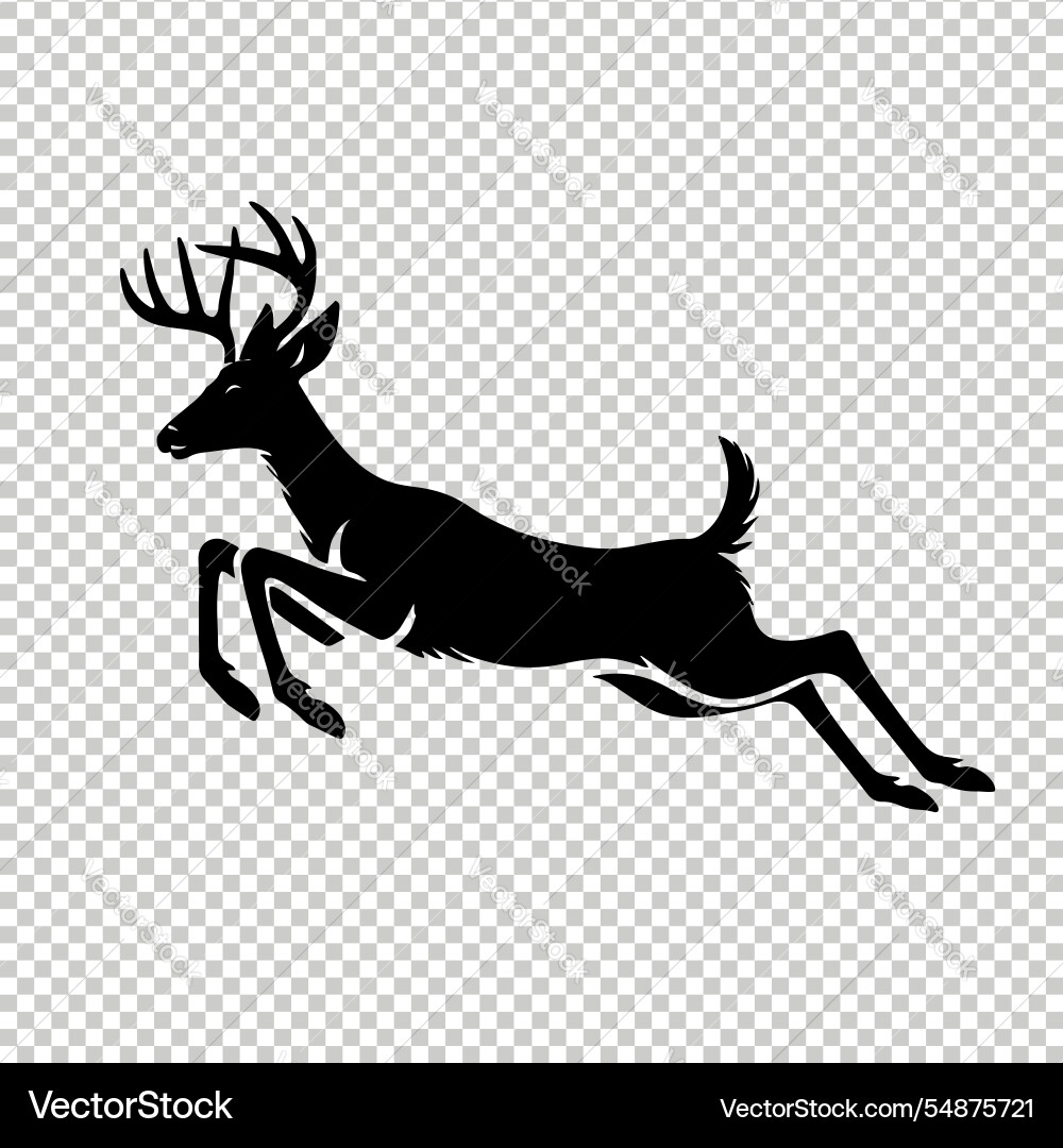 Whitetail deer Royalty Free Vector Image - VectorStock