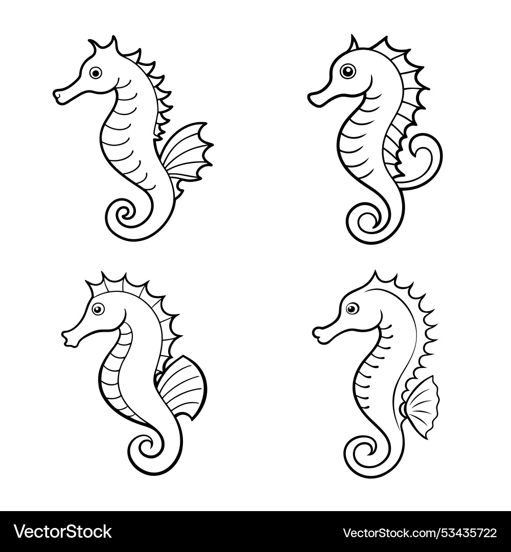 4 seahorse line art Royalty Free Vector Image - VectorStock