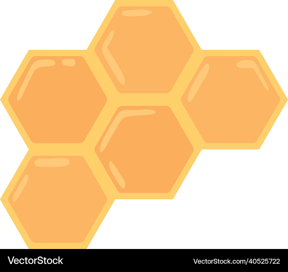 Bee honeycomb with honey Royalty Free Vector Image