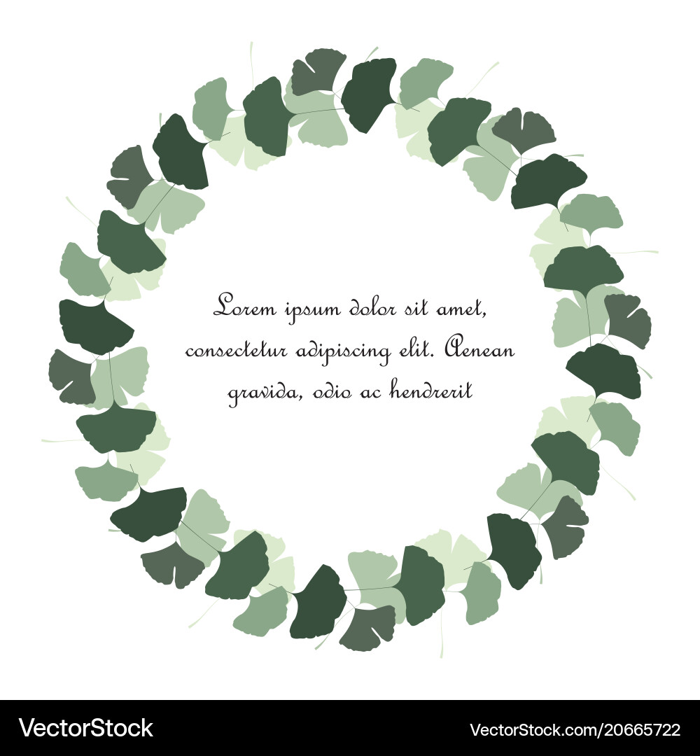 Ginkgo Biloba Leaves Border Royalty Free Vector Image