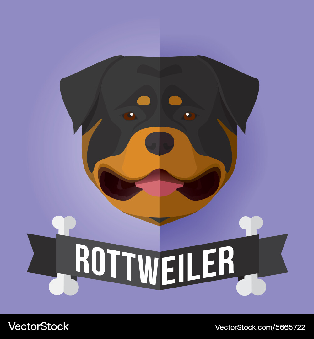 Rottweiler Royalty Free Vector Image - VectorStock