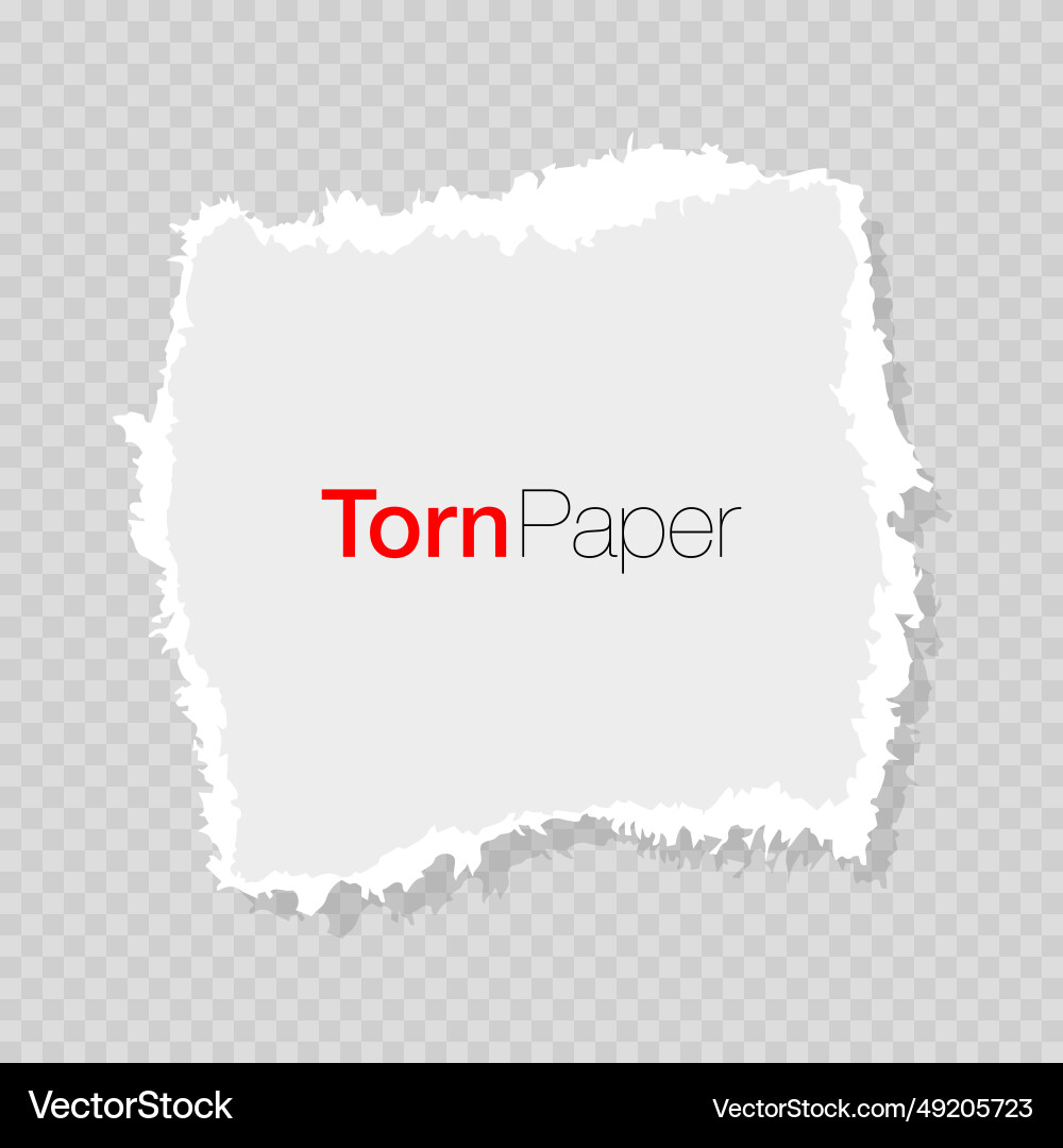 White ripped paper strip scrap torn edges Vector Image