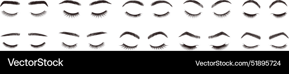 Eyebrows and eyelashes styles beauty eyebrow Vector Image