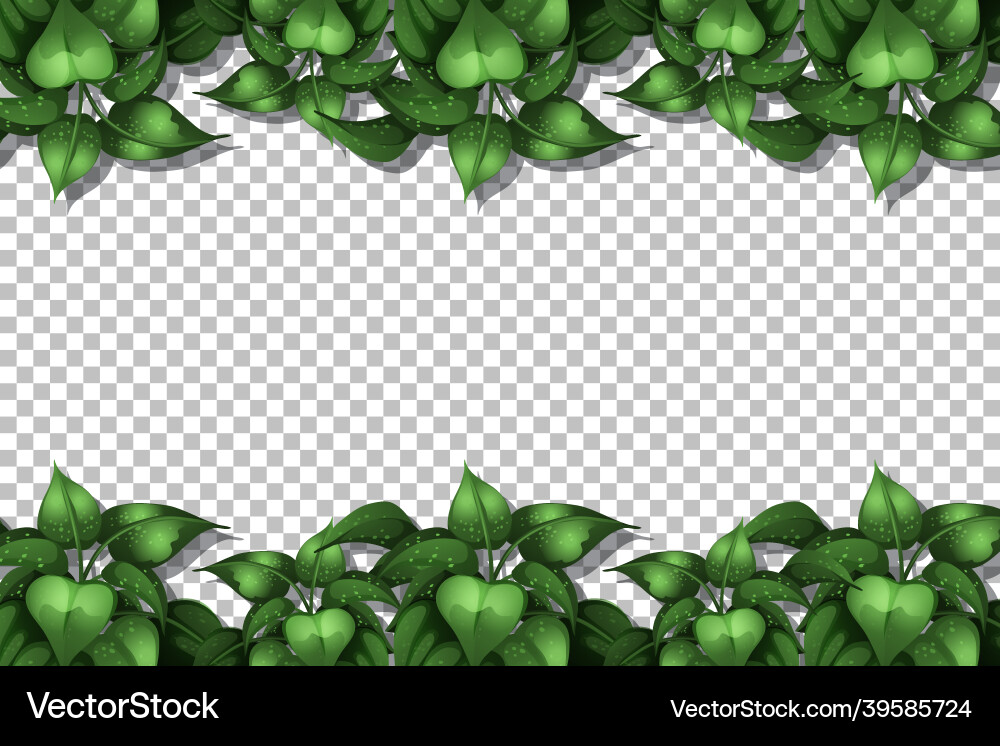 Nature plants frame transparent background Vector Image