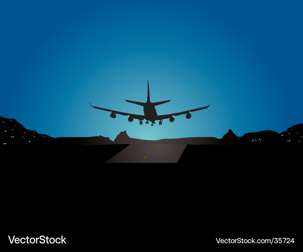 Plane landing Royalty Free Vector Image - VectorStock