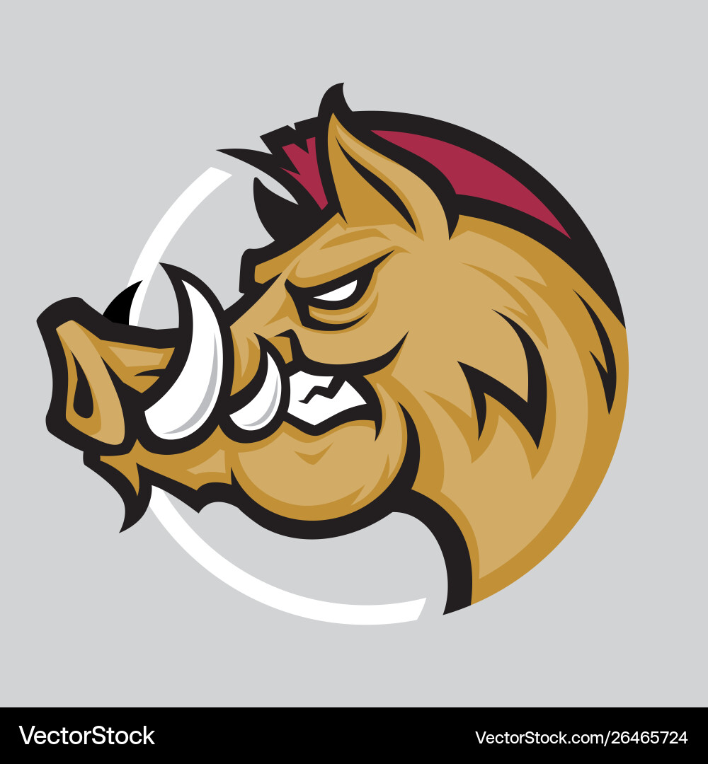 Wild boar logo Royalty Free Vector Image - VectorStock