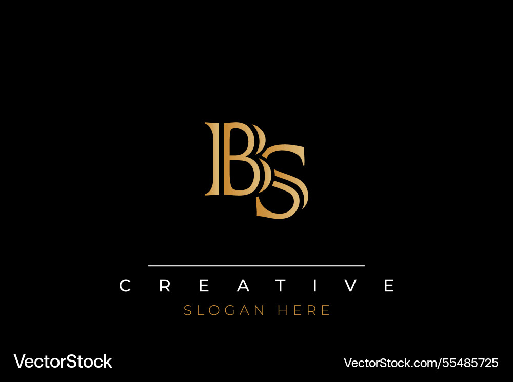 Creative bs luxury logo Royalty Free Vector Image
