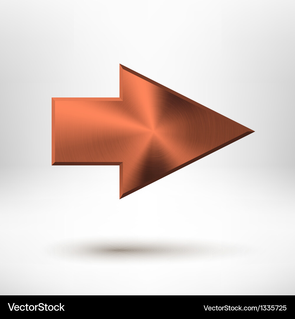 Right arrow sign with bronze metal texture Vector Image