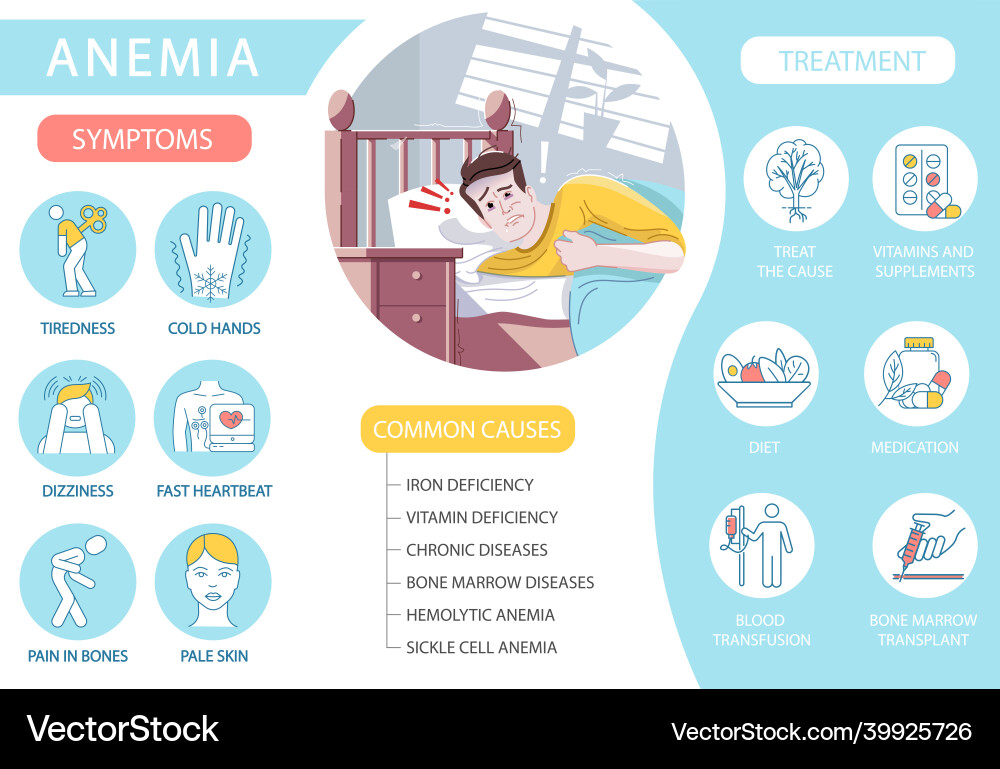 Anemia infographic template anaemia common causes Vector Image
